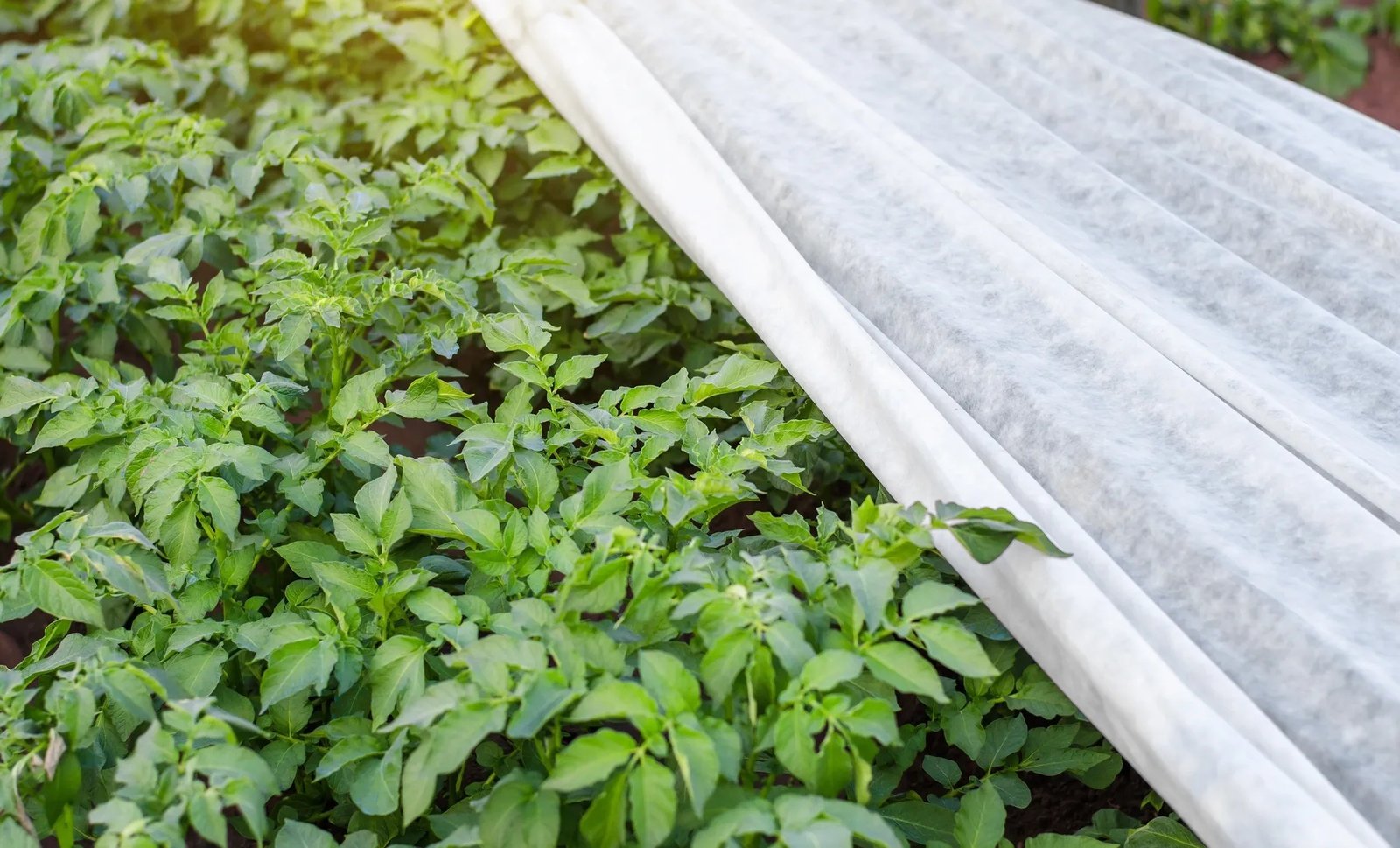 Replacing synthetics with Ecofuse - TECHNICAL TEXTILES TODAY