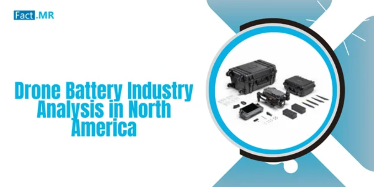Empowering Flight: Unleashing the Potential of Rechargeable Lithium-ion ...