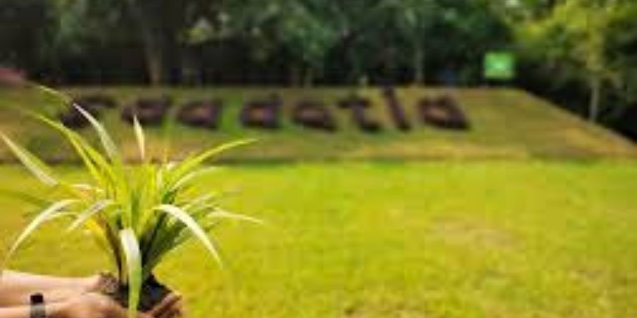 Comfit Golden Leaf Earns LEED Platinum for Sustainability