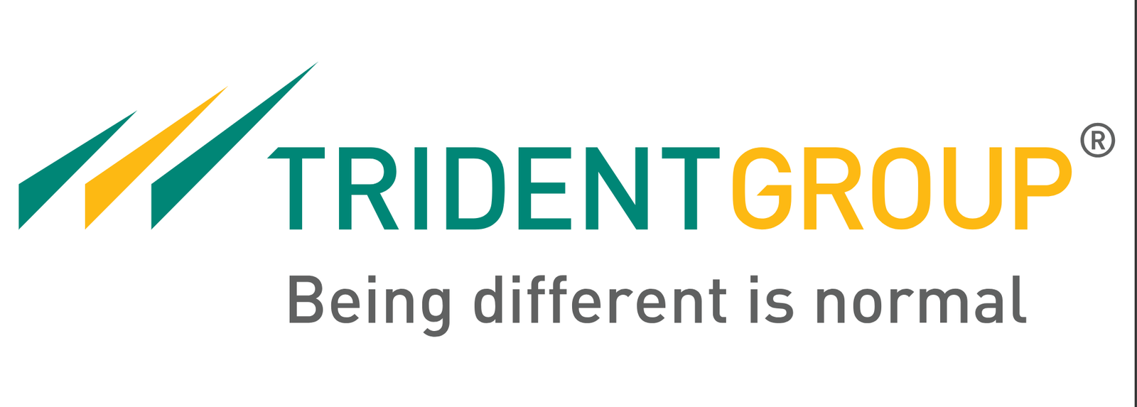 Trident Group Showcases Wheat-Stalk Paper and New Product Range at ...